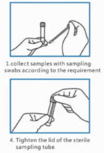 Sample Collection Kits Flocked Swab Disposable Virus Sampling Tube